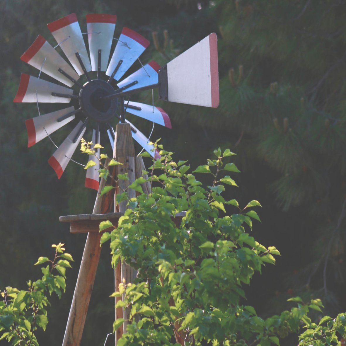 Farm Supplies – Homestead Store