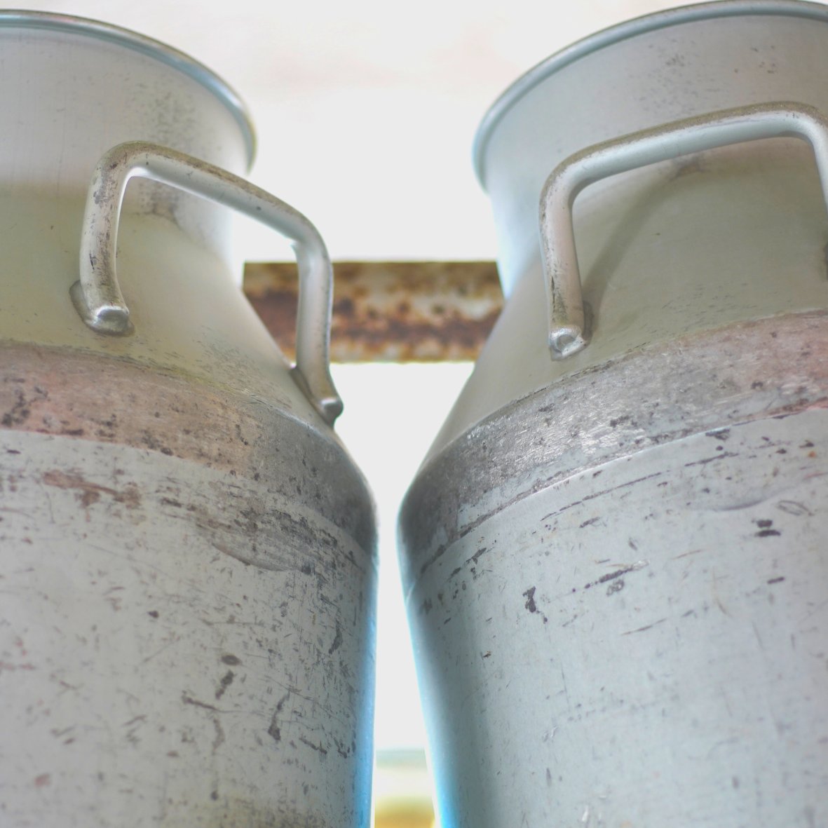 Collections – Homestead Store